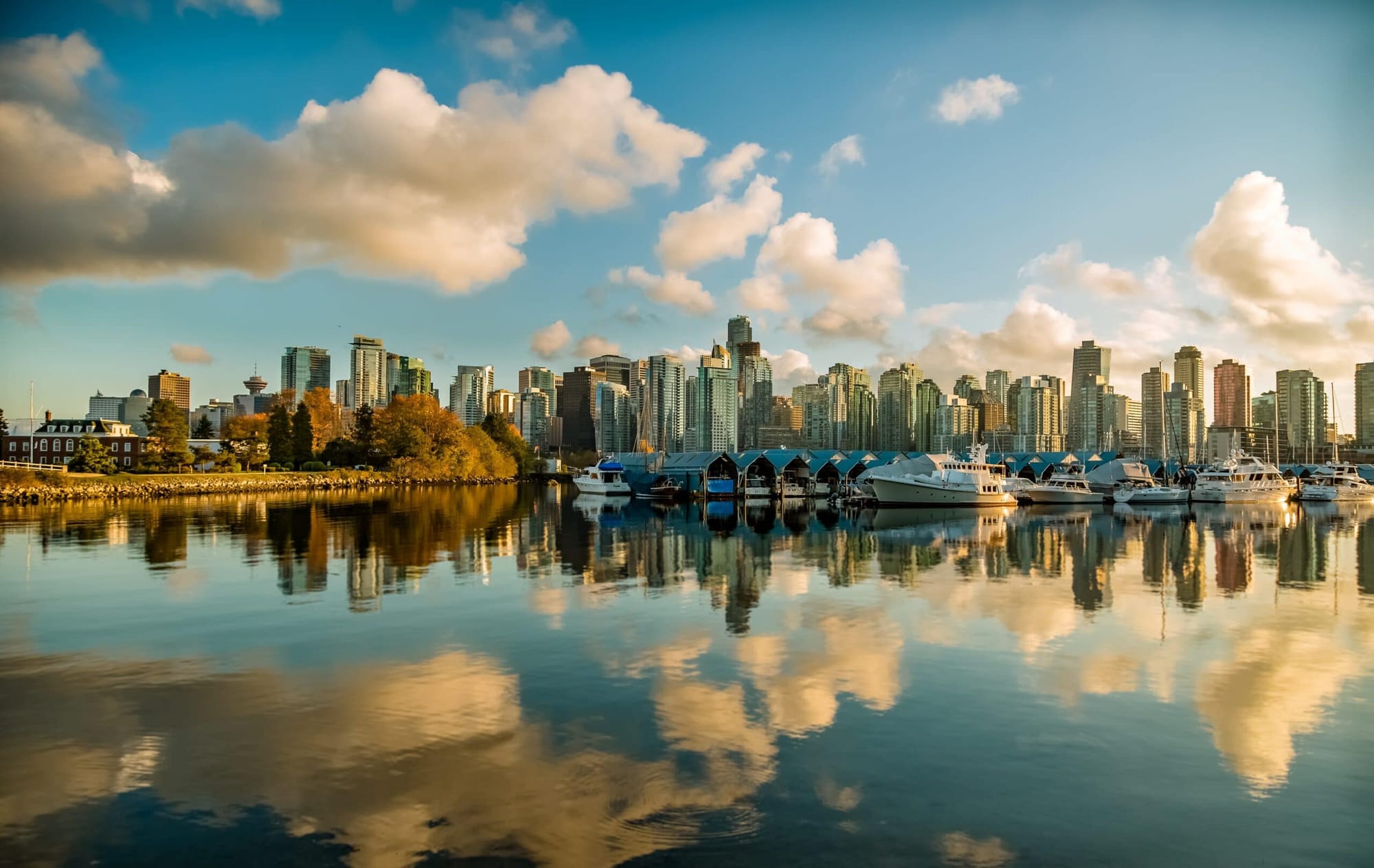 And How's The Canadian AI Market?